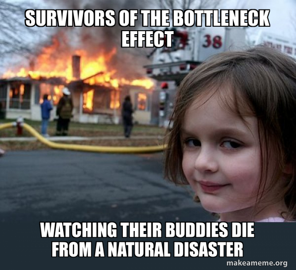 Survivors of the bottleneck effect watching their buddies die from a ...
