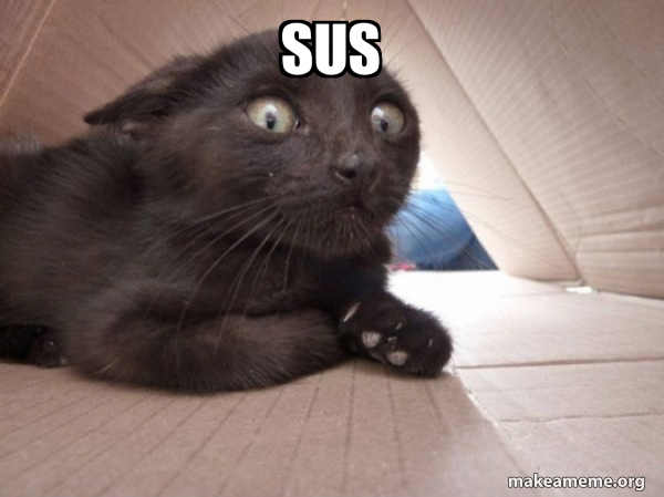 Sus - Schitzo Cat Meme Generator