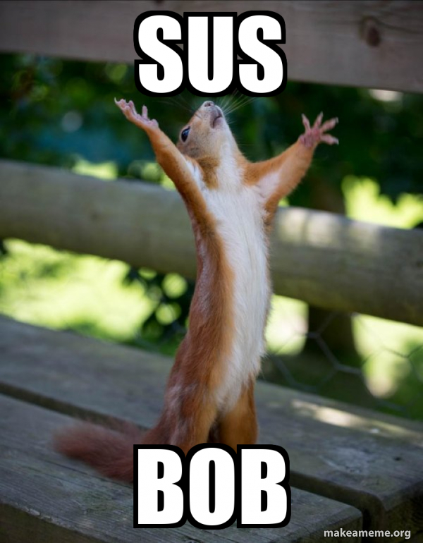 sus bob - Happy Squirrel Meme Generator