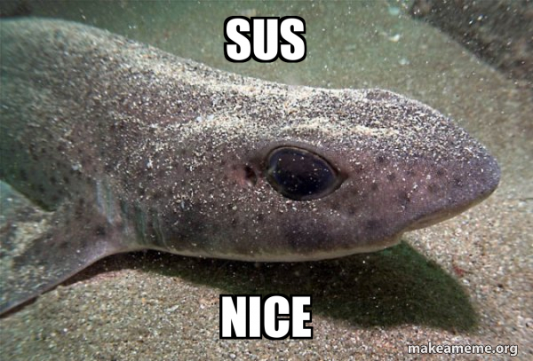 sus nice - Dirty Joke Dogfish Meme Generator