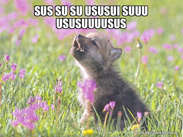 SUS SU SU USUSUI SUUU USUSUUUUSUS - Baby Insanity Wolf Meme Generator
