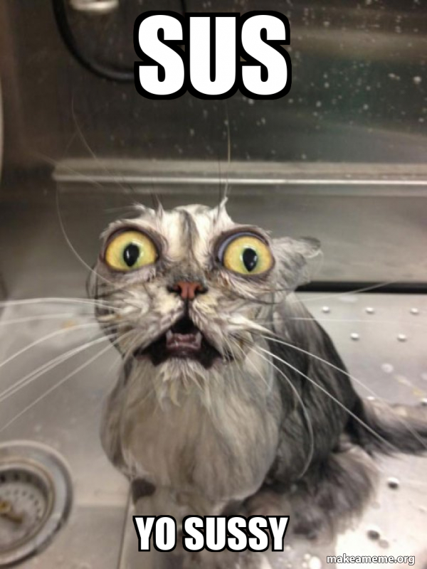 sus yo sussy - Cat bath Meme Generator