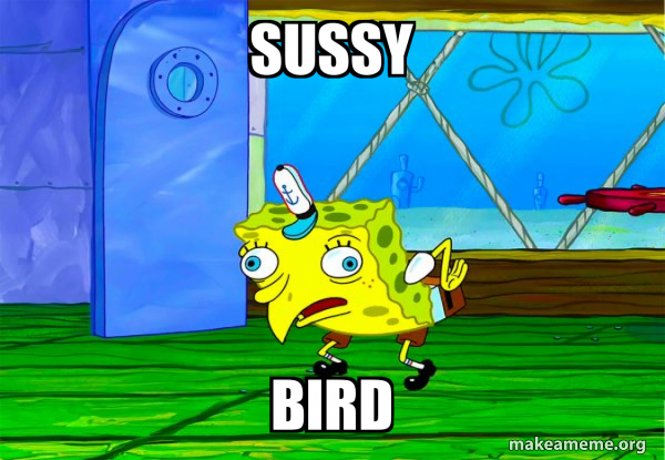 Sussy Bird - Mocking SpongeBob Meme Generator