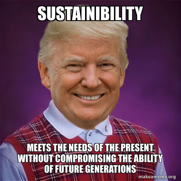 Sustainibility meets the needs of the present without compromising the ...
