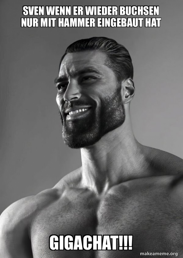 sven wenn er wieder buchsen nur mit hammer eingebaut hat gigachat ...