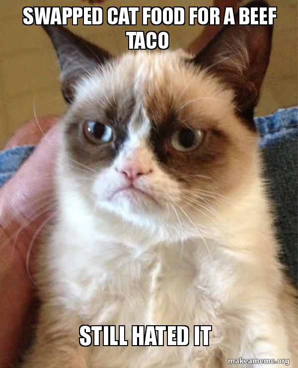 swapped cat food for a beef taco Still hated it - Grumpy Cat Meme Generator