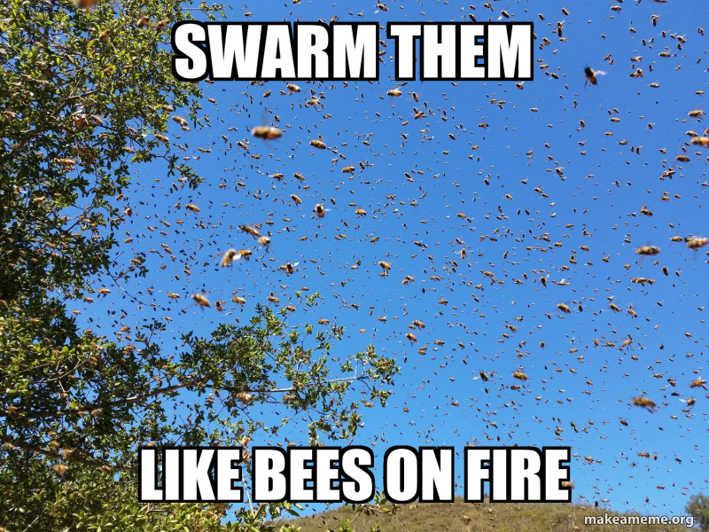 swarm them like bees on fire Meme Generator