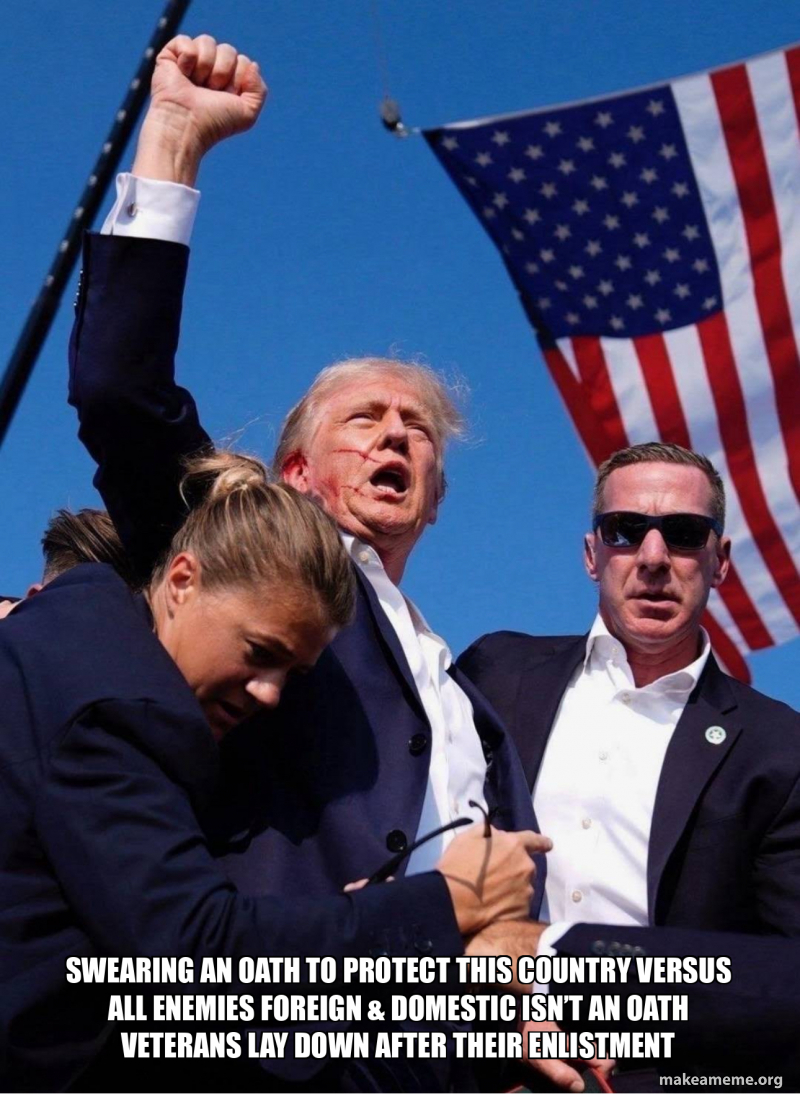 Swearing an oath to protect this country versus all enemies foreign ...