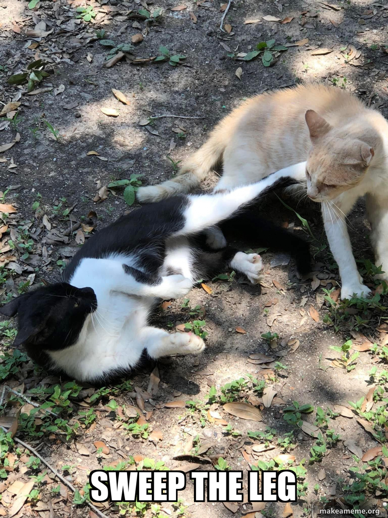 Sweep the leg Meme Generator