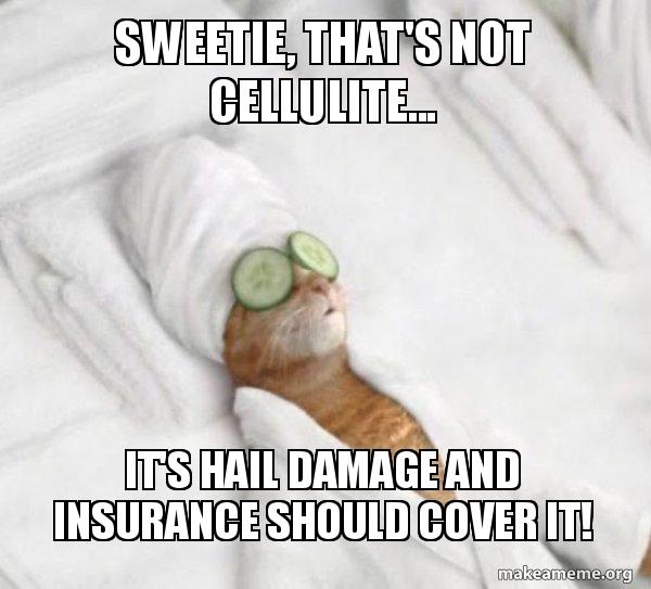 Sweetie, that's not cellulite... It's hail damage and insurance should ...