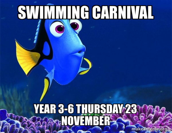 Swimming Carnival Year 3-6 Thursday 23 NovEMBER - Dory from Nemo (5 ...