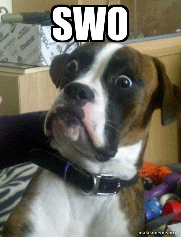 SWO - Skeptical Dog Meme Generator