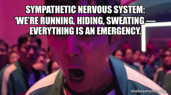 Sympathetic nervous system: ‘We’re running, hiding, sweating ...