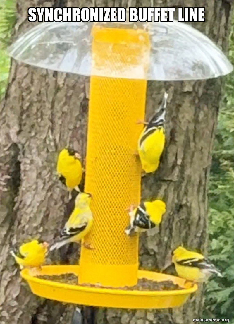 Synchronized buffet line Meme Generator