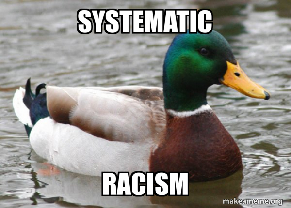 Systematic Racism - Actual Advice Mallard Meme Generator