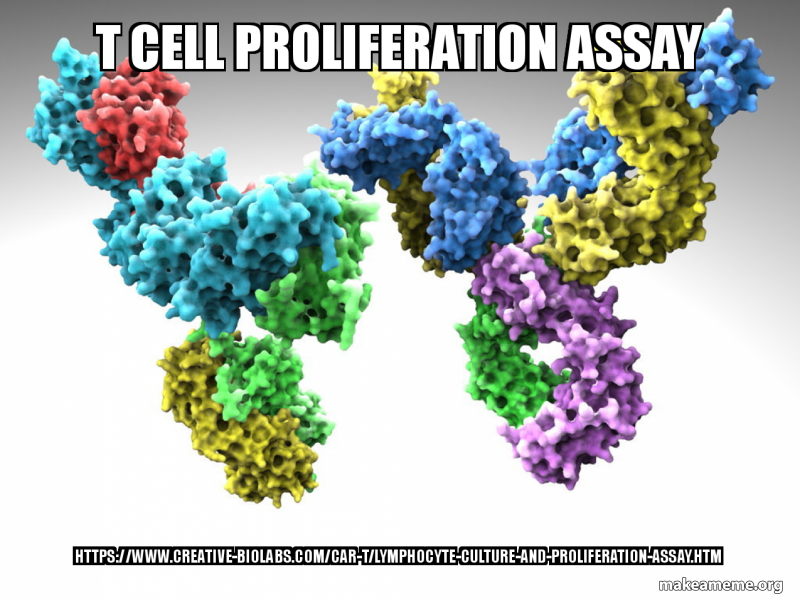Cell Proliferation Assay Creative Proteomics
