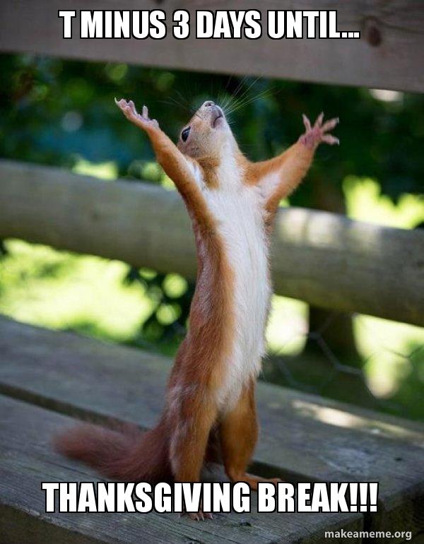 T MINUS 3 DAYS UNTIL... THANKSGIVING BREAK!!! - Happy Squirrel Meme ...