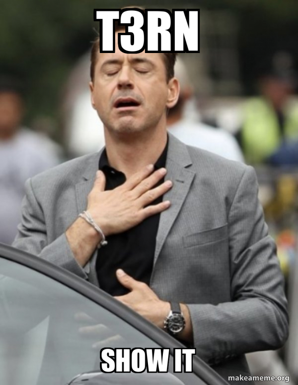 T3RN SHOW IT - Tony Stark Relief Meme Generator