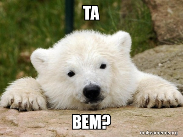 Ta bem? - Popular Opinion Bear Meme Generator