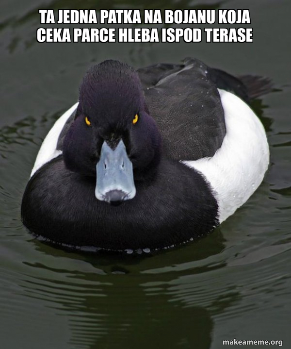 Ta jedna patka na bojanu koja ceka parce hleba ispod terase - Revenge ...