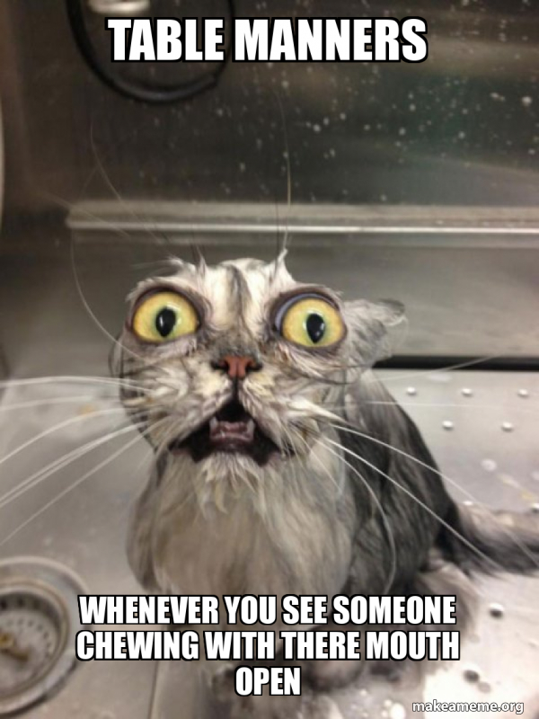 Table Manners Whenever you see someone chewing with there mouth open ...