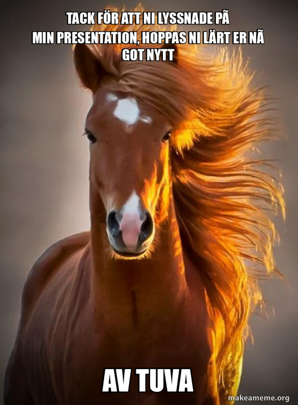 Tack för att ni lyssnade på min presentation, hoppas ni lärt er något ...