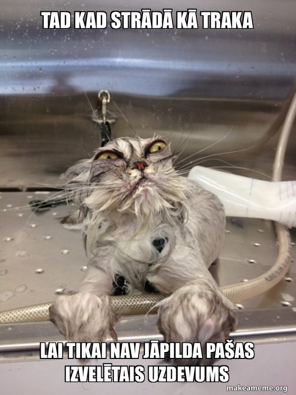 Tad kad strādā kā traka Lai tikai nav jāpilda pašas izvelētais uzdevums ...