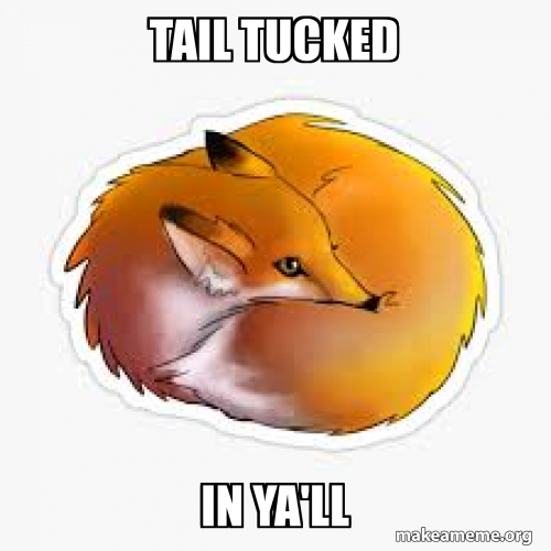tail tucked in ya'll Meme Generator