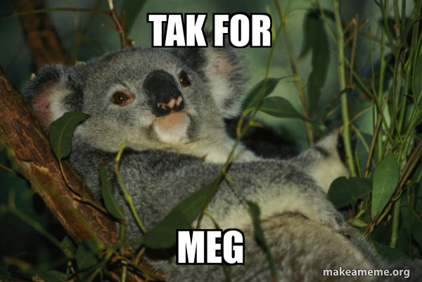 tak for meg - Laid Back Koala Meme Generator
