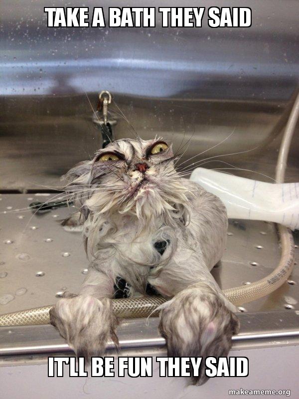 Funny Bathtub Memes Photo Posted By Wholesome Memes 🐶 (@wholememe)