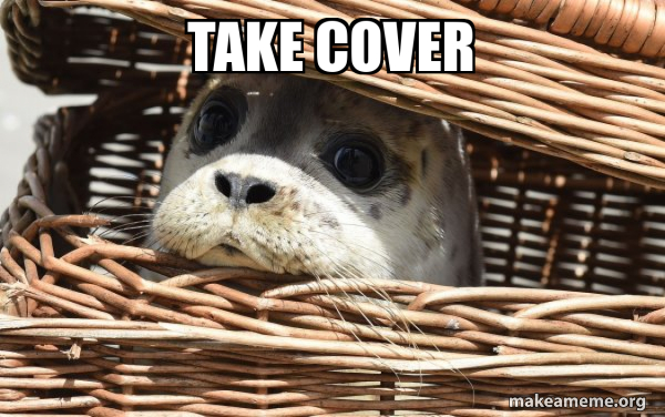 Take cover - Impending Doom Seal Meme Generator