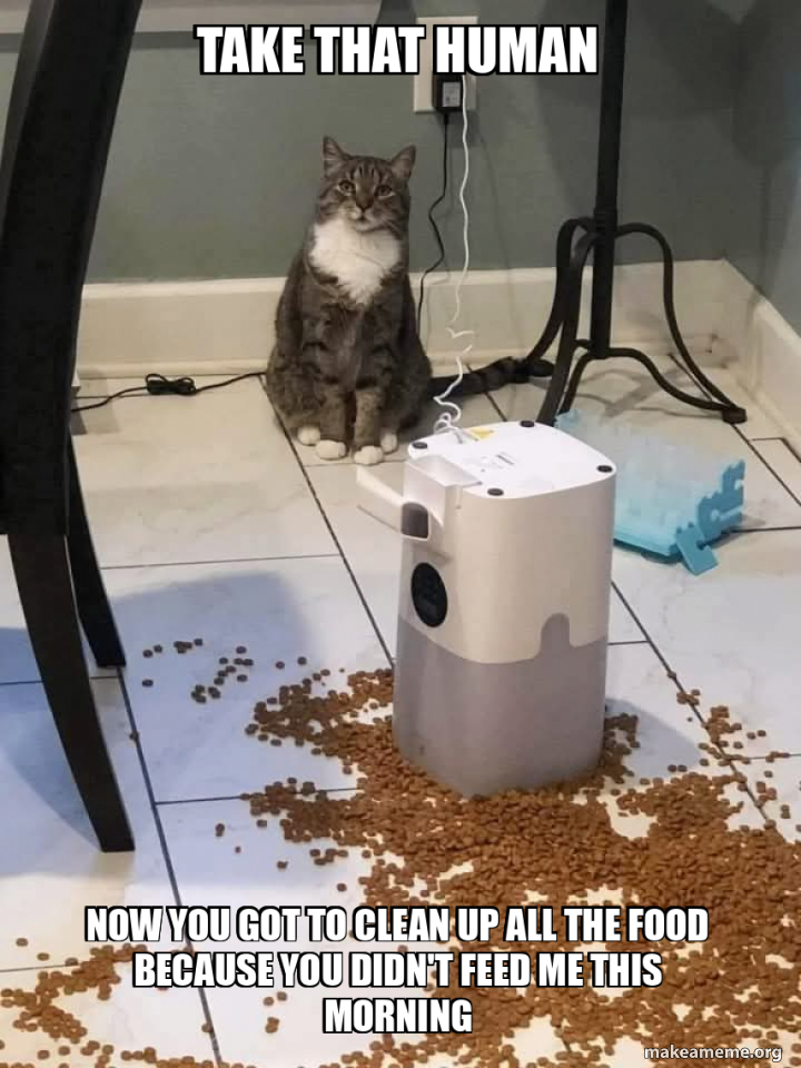 Take that human Now you got to clean up all the food because you didn't ...