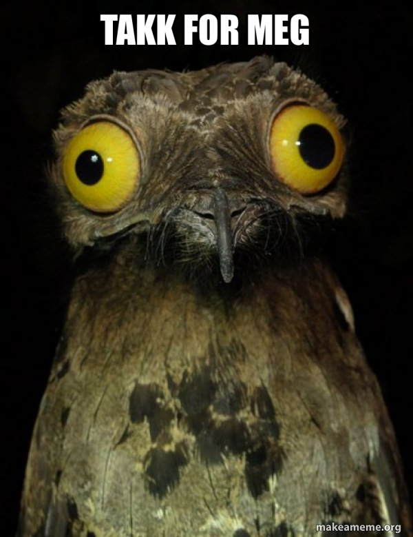 TAKK FOR MEG - Weird Stuff I do Potoo Meme Generator