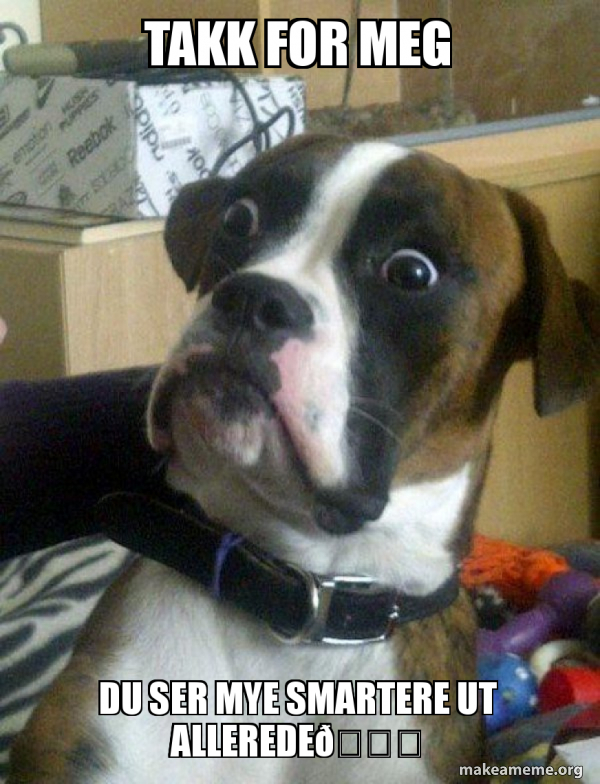 takk for meg du ser mye smartere ut alleredeðŸ™Œ - Skeptical Dog Meme ...