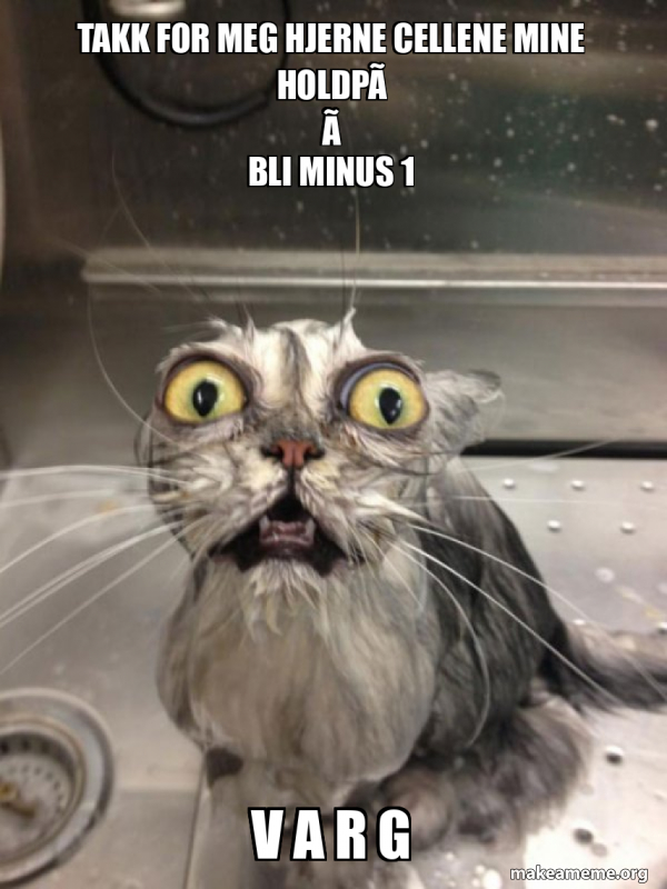 Takk for meg hjerne cellene mine holdpå å bli minus 1 V A R G - Cat ...