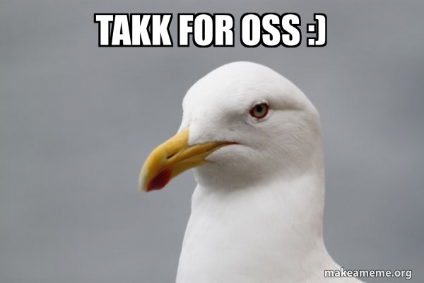 Takk for oss :) - Stuff That Didn't Happen Seagull Meme Generator