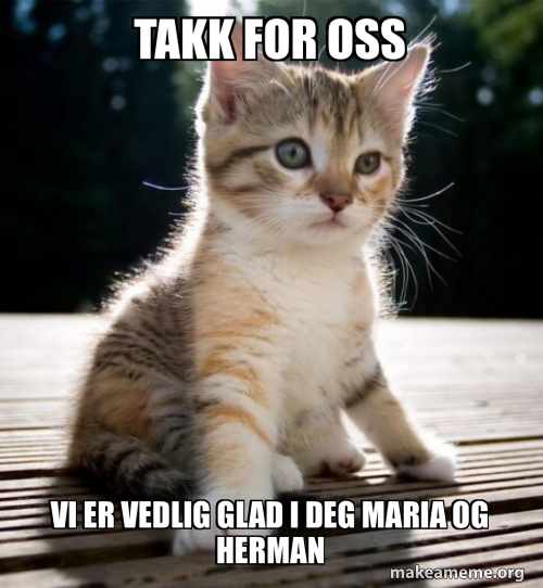 Takk for oss Vi er vedlig glad i deg maria og herman Meme Generator