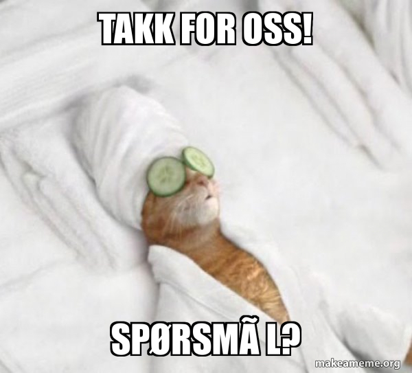 Takk for oss! SpÃ¸rsmÃ¥l? - Pampered Cat Meme Meme Generator