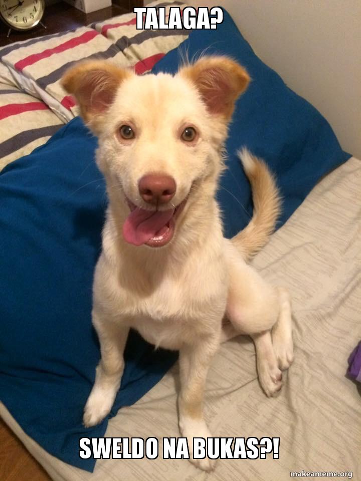 TALAGA? SWELDO NA BUKAS?! - Pay day dog Meme Generator