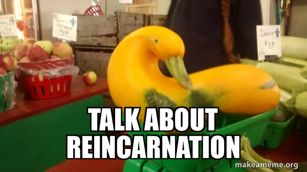 talk about reincarnation - Gourd Advice Mallard Meme Generator
