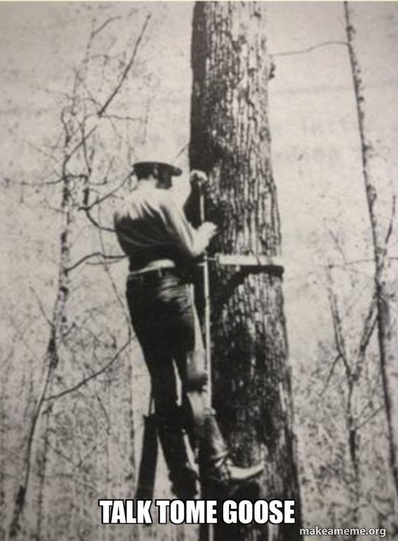 Talk tome goose Meme Generator