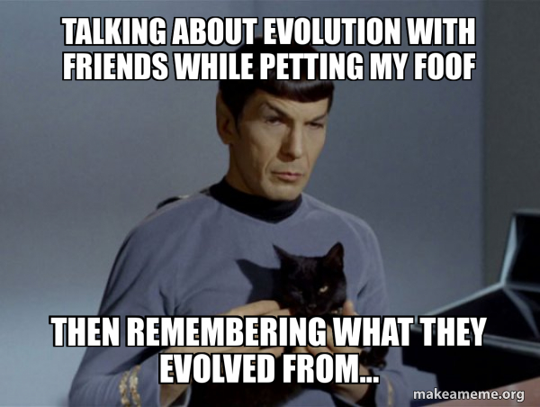 Talking about evolution with friends while petting my foof Then ...