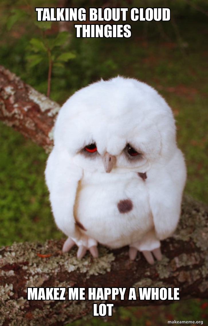 talking blout cloud thingies makez me happy a whole lot - Sad Owl Meme ...