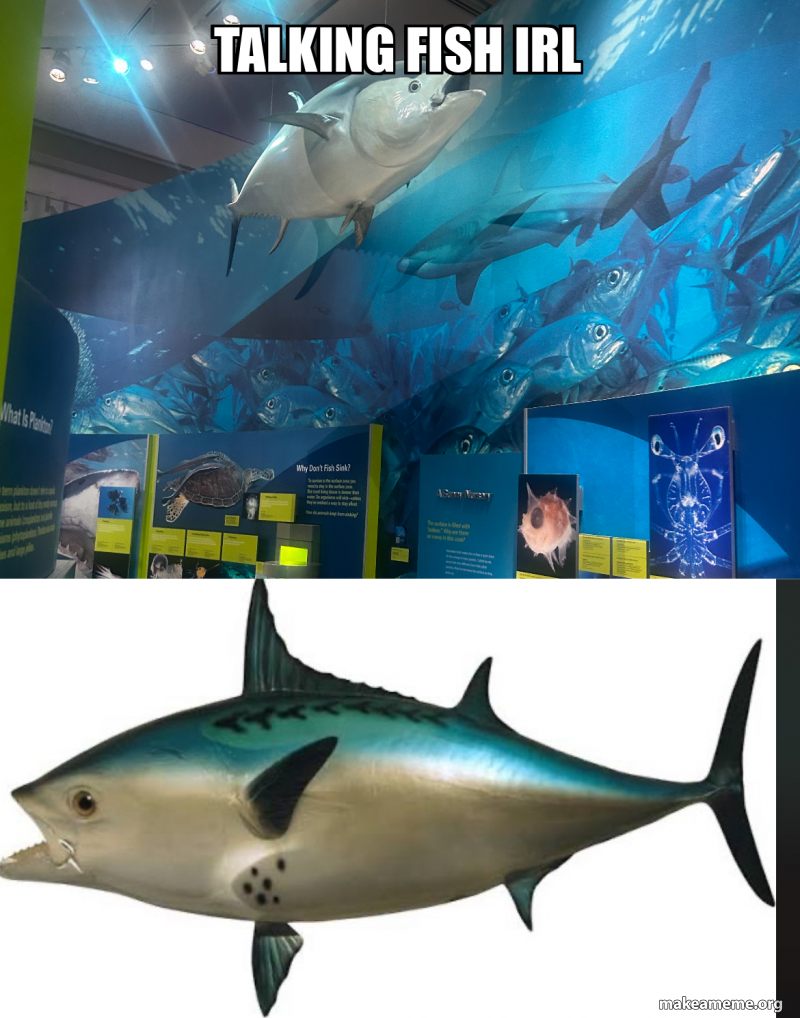 Talking FISH IRL Meme Generator