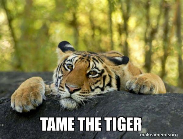 Tame the tiger - Confession Tiger Meme Generator