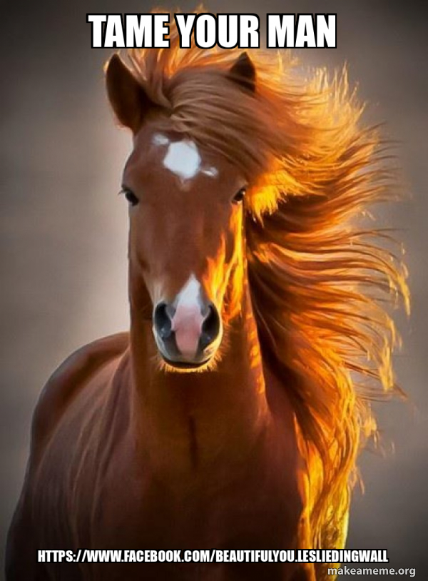 Tame Your Man https://www.facebook.com/beautifulyou.lesliedingwall ...