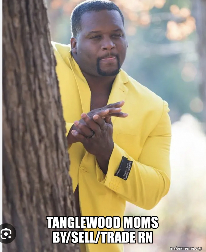 Tanglewood moms by/sell/trade rn Meme Generator