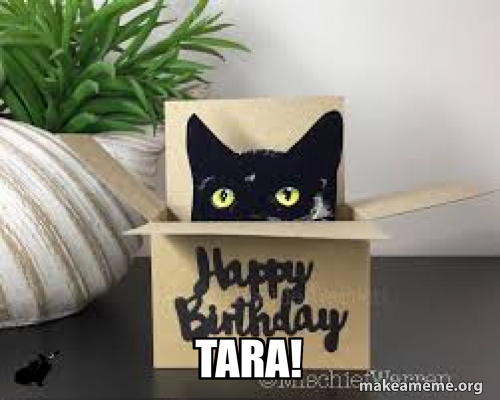 Tara! Meme Generator