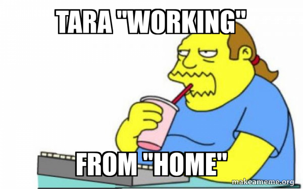 Tara "working" from "home" - Worst Apocalypse Ever Meme Generator