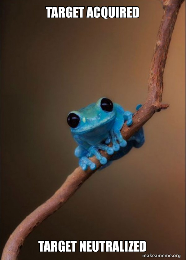target acquired target neutralized - Small Fact Frog Meme Generator